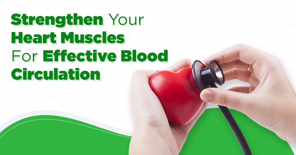 Strengthen Your Heart Muscles For Effective Blood Circulation | how to ...